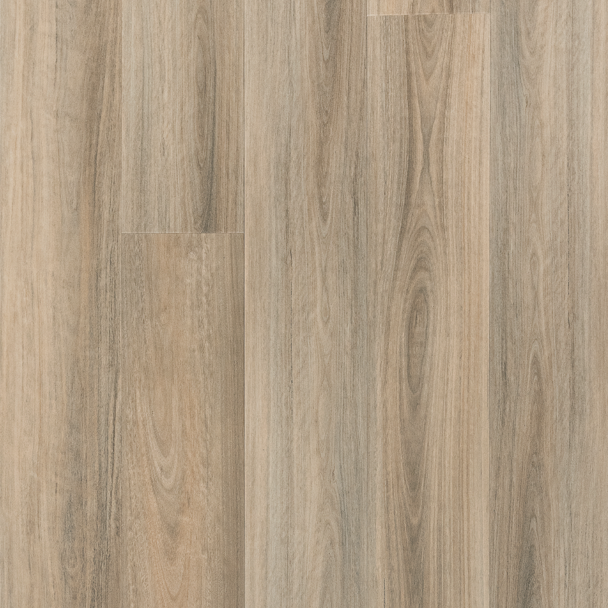 Frost | Vinyl Flooring - Embelton Flooring