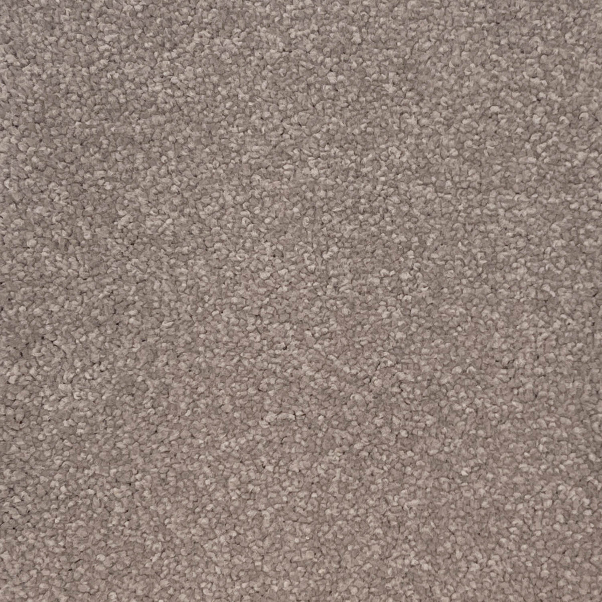 Haze | Australian Made Carpet - Embelton Flooring