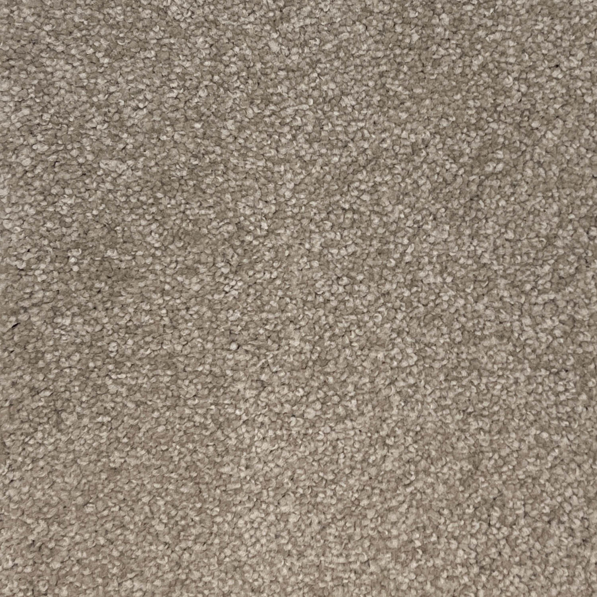 Sandstorm | Australian Made Carpet - Embelton Flooring